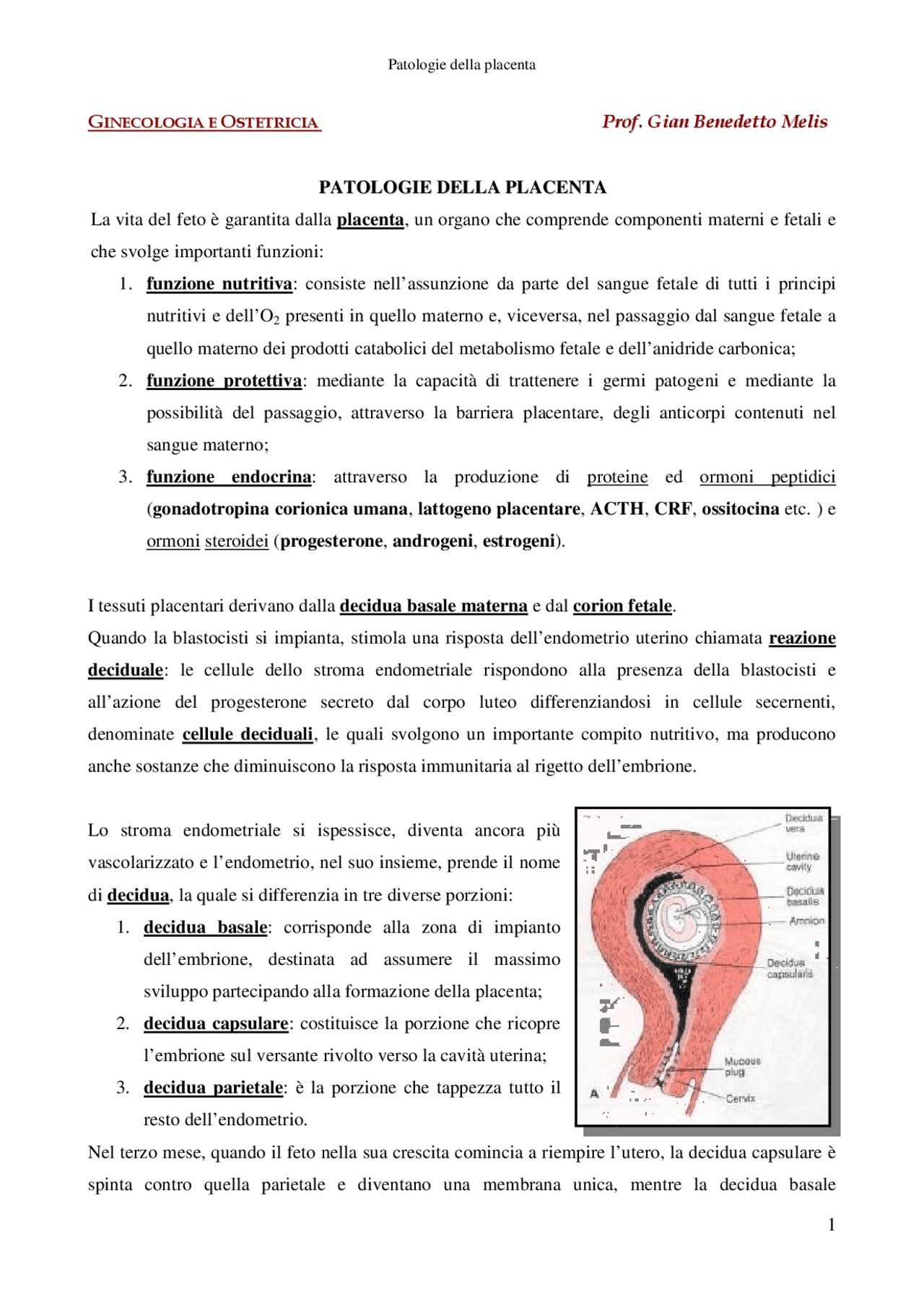 Patologie Della Placenta Effetti E Terapie Docsity