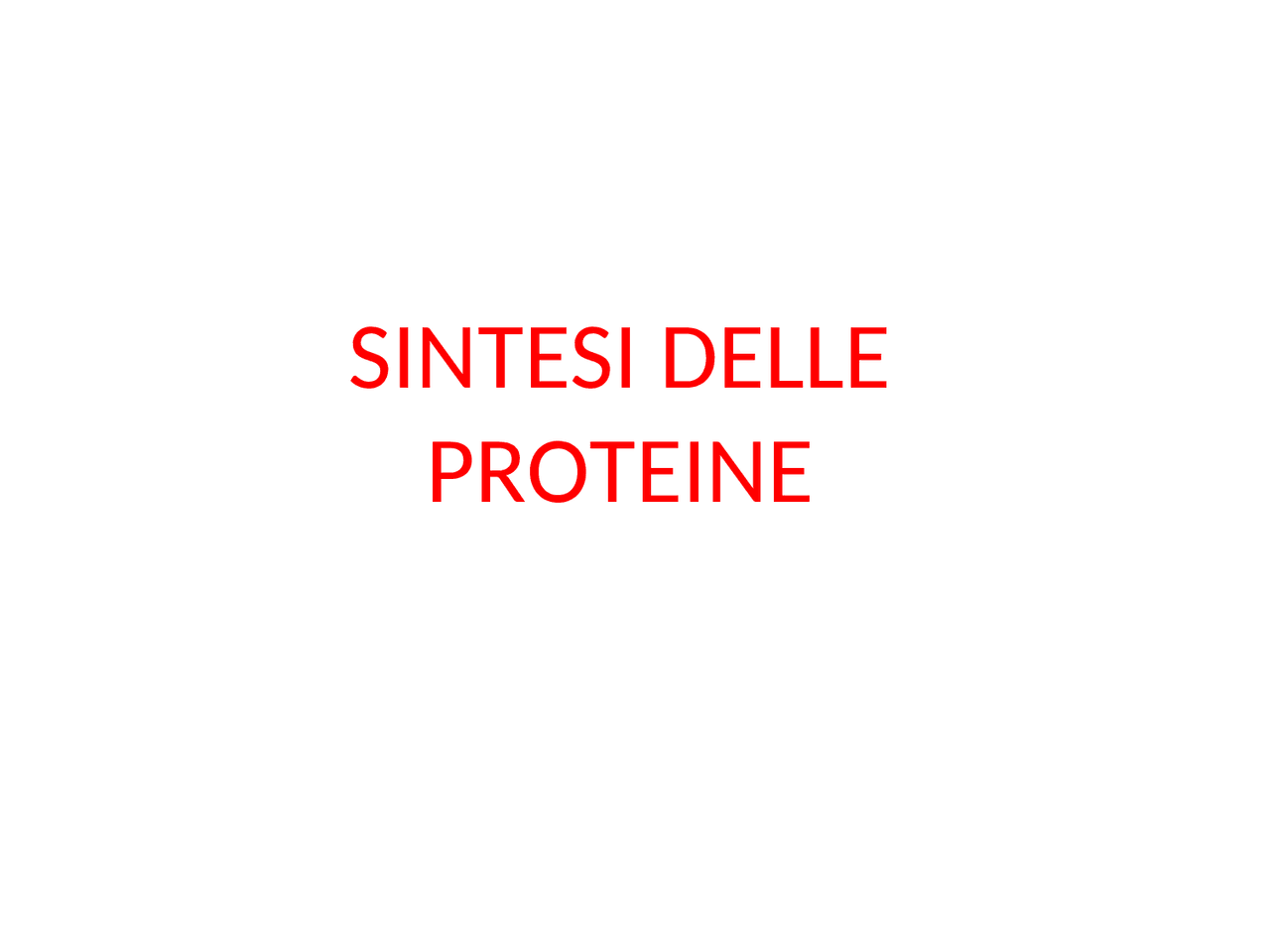 Spiegazione Della Sintesi Delle Proteine Docsity