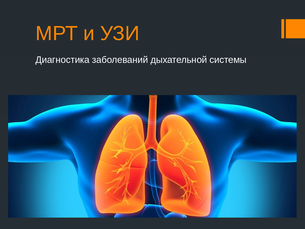 Диагностика заболеваний дыхательной системы Docsity