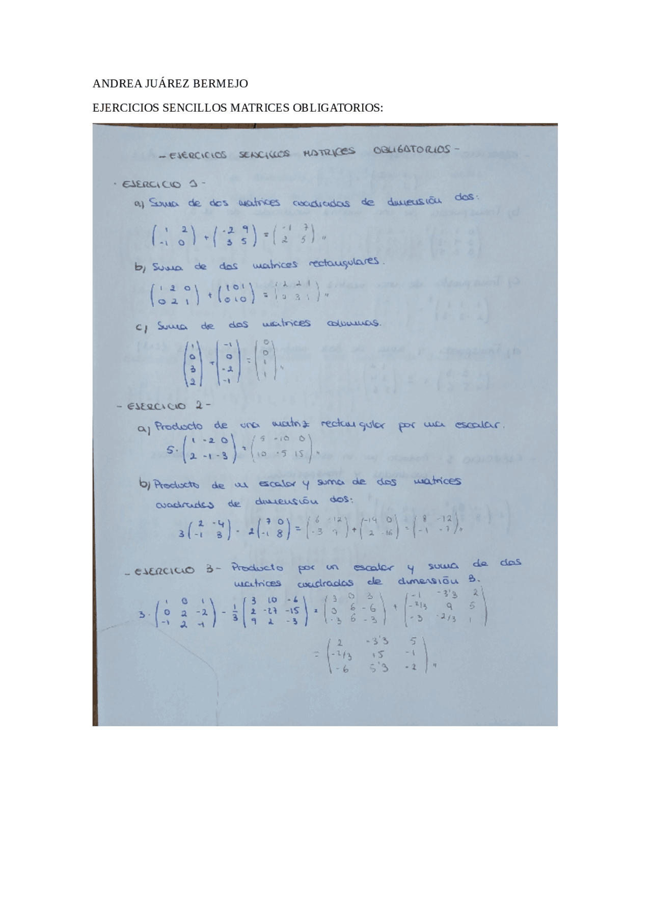 Ejercicios Sencillos Matrices Docsity