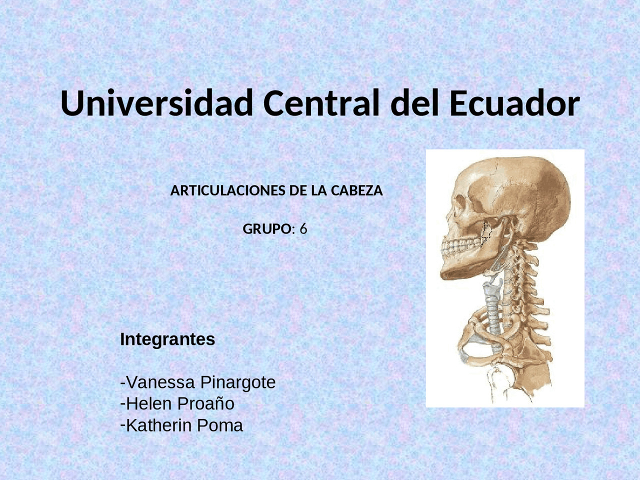 Articulaciones De La Cabeza Docsity