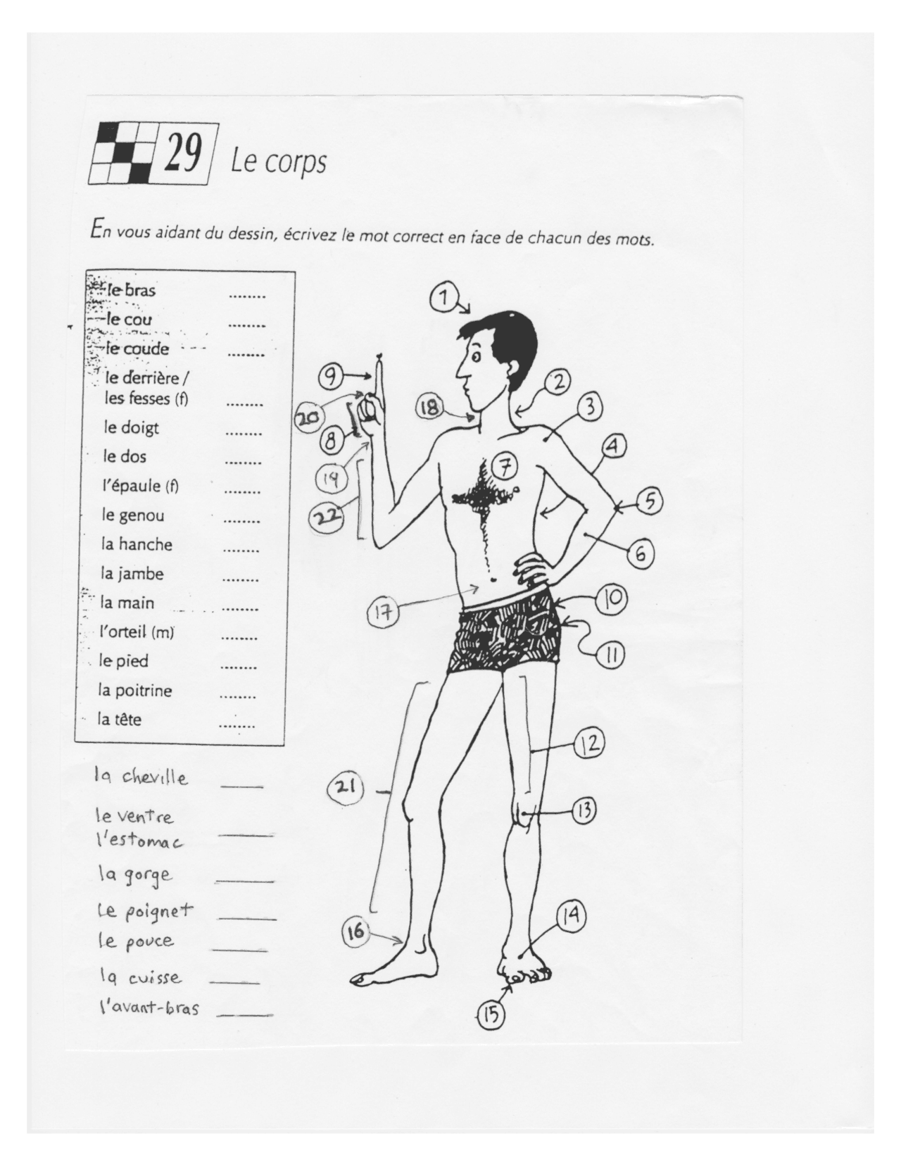 French Information Of Body And Face Lecture Notes French Language