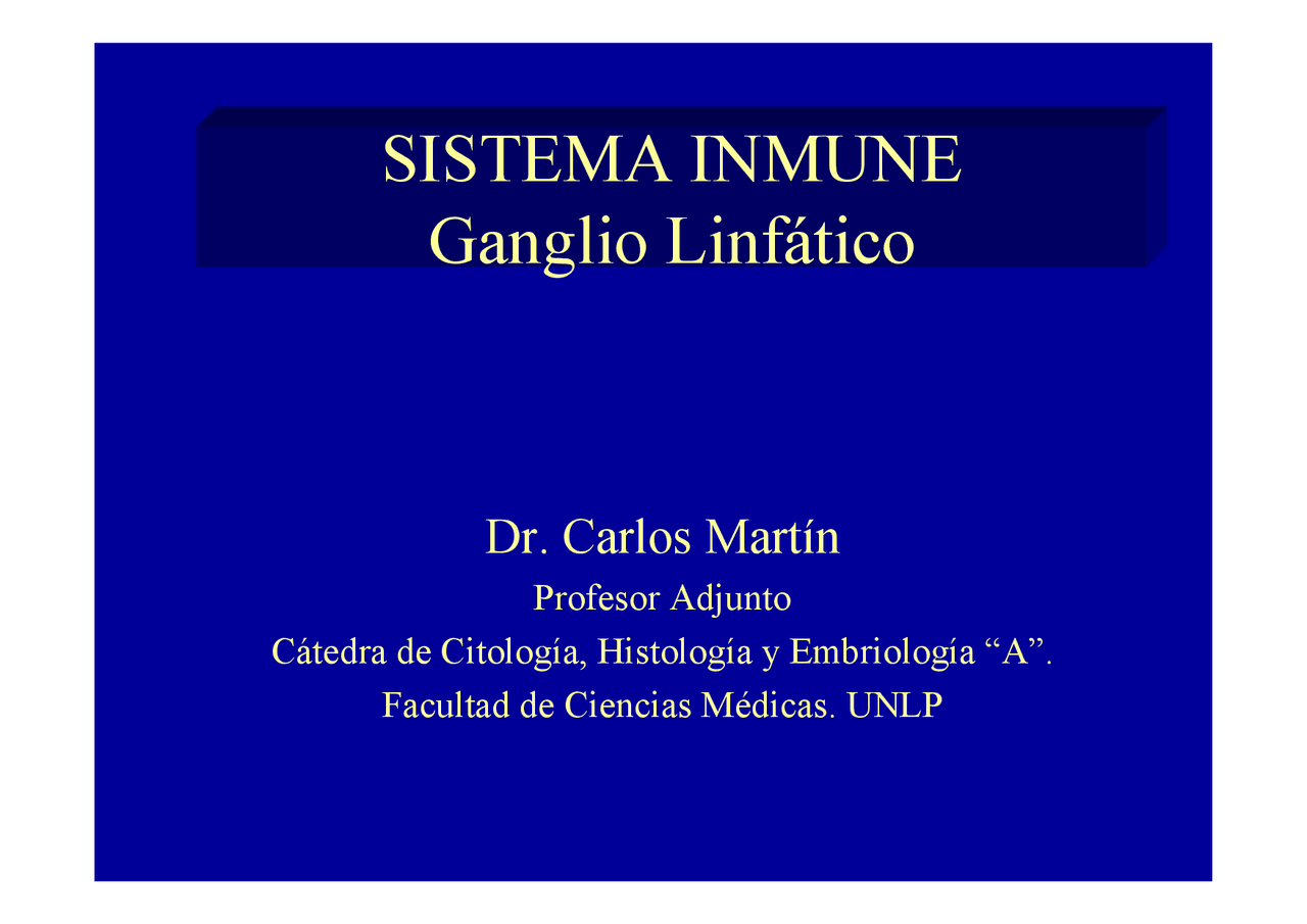 Sistema Inmune Órganos Linfoides Slide Di Istologia Docsity