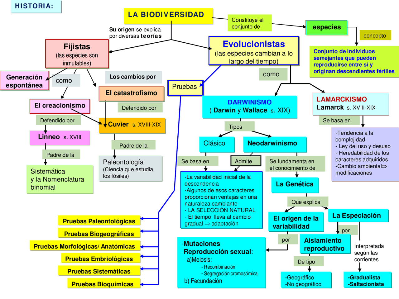 Esquema Teorías Origen Biodiversidad Docsity