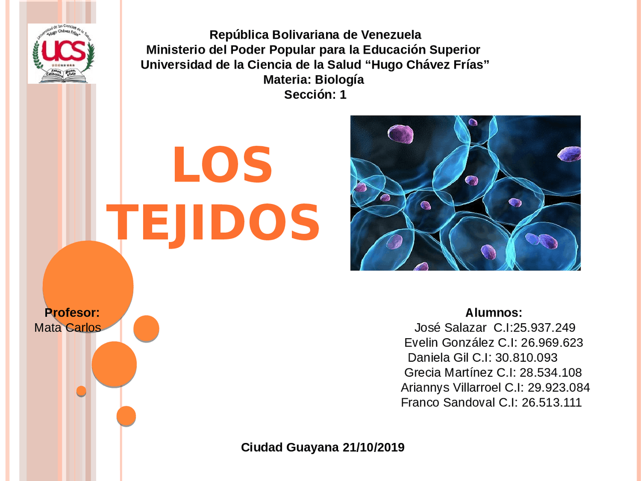 20 10 2019 Los Tejidos Docsity
