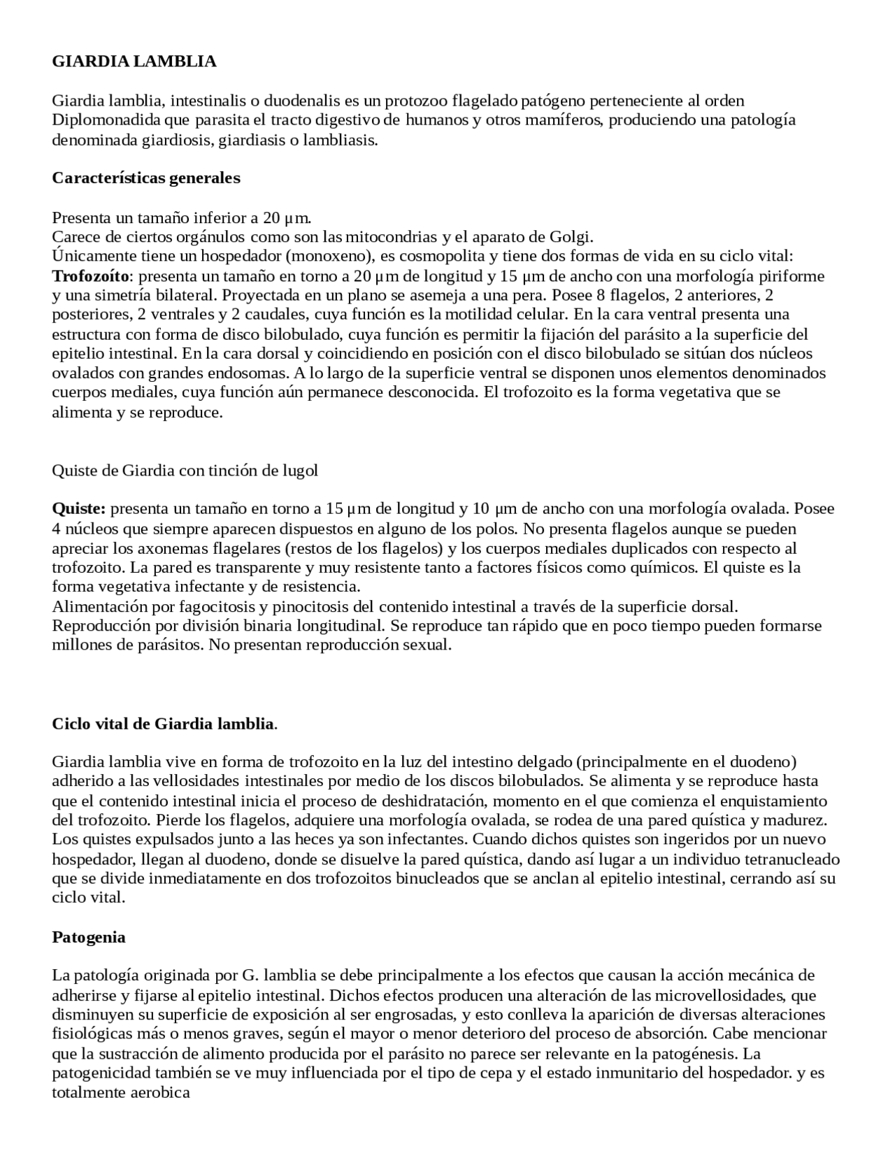 Giardia Apuntes De Clase Docsity