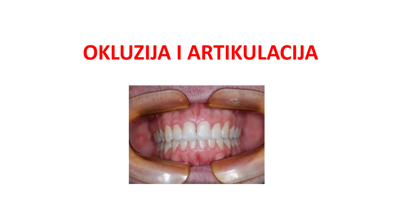 Okluzja i artikulacija: osnovni pojmovi i faze | Skripte' predlog Zubna ...