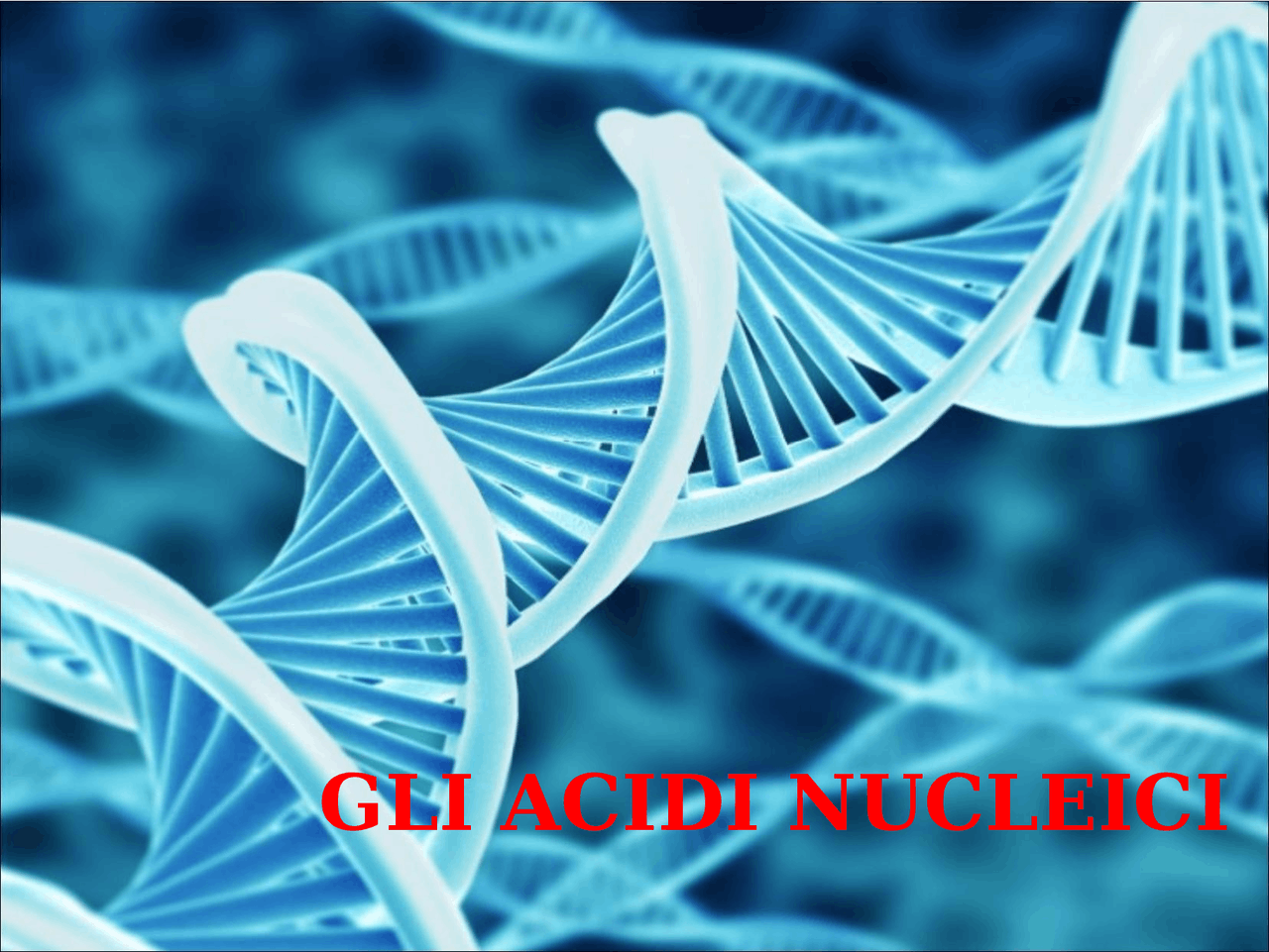 Acidi Nucleici E Duplicazione Dna Docsity