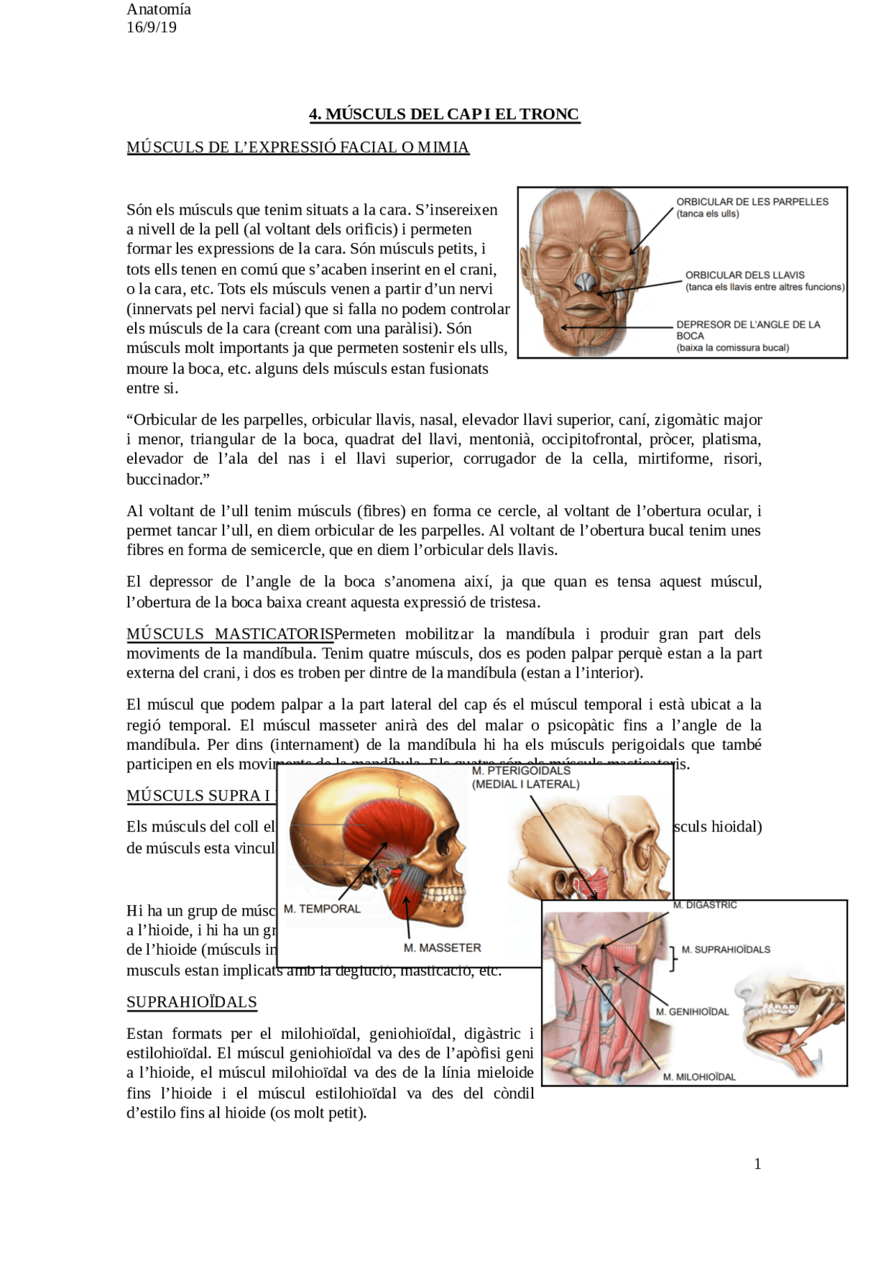 Musculs de cap i tronc - Docsity