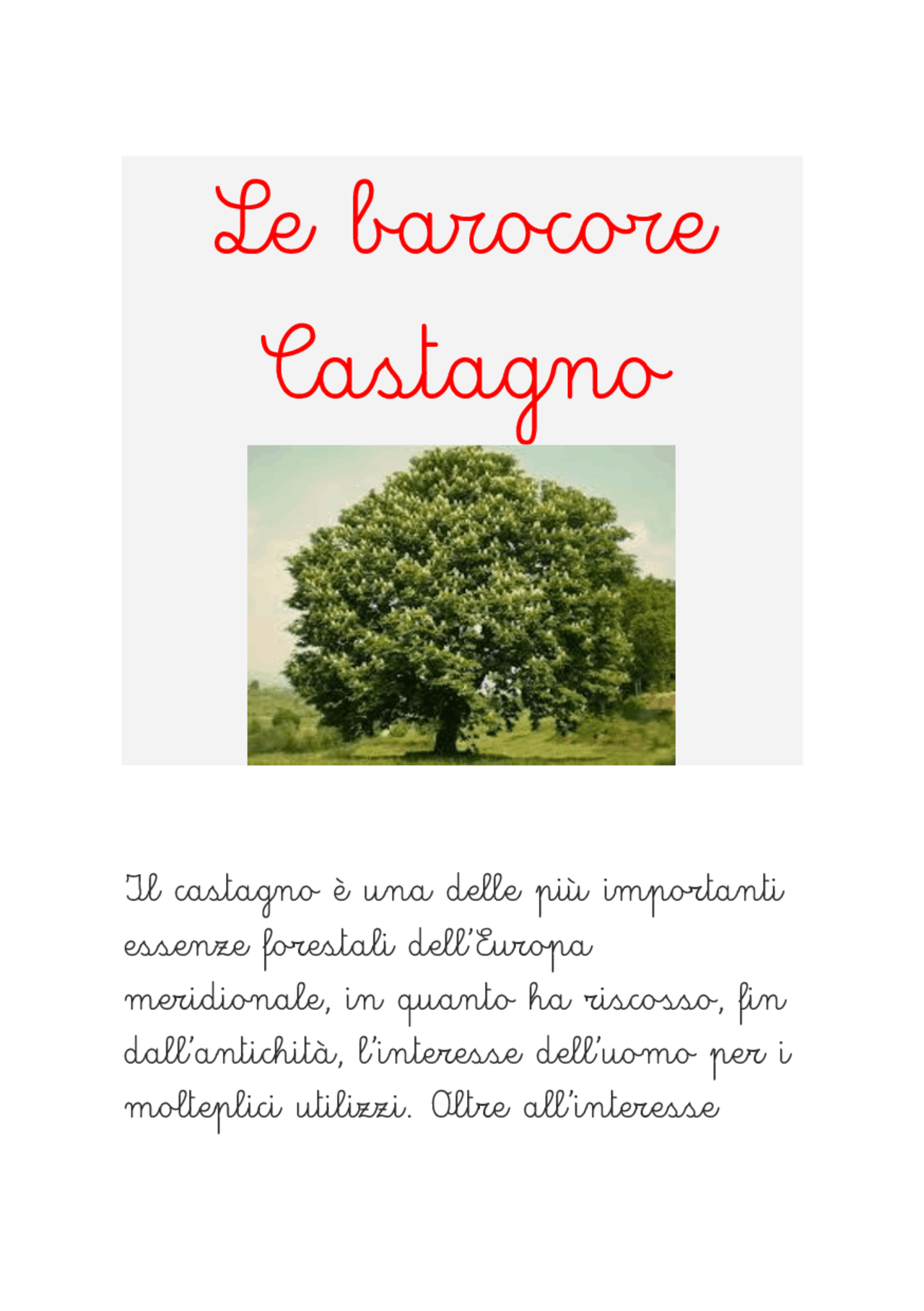 La Disseminazione Delle Piante Docsity