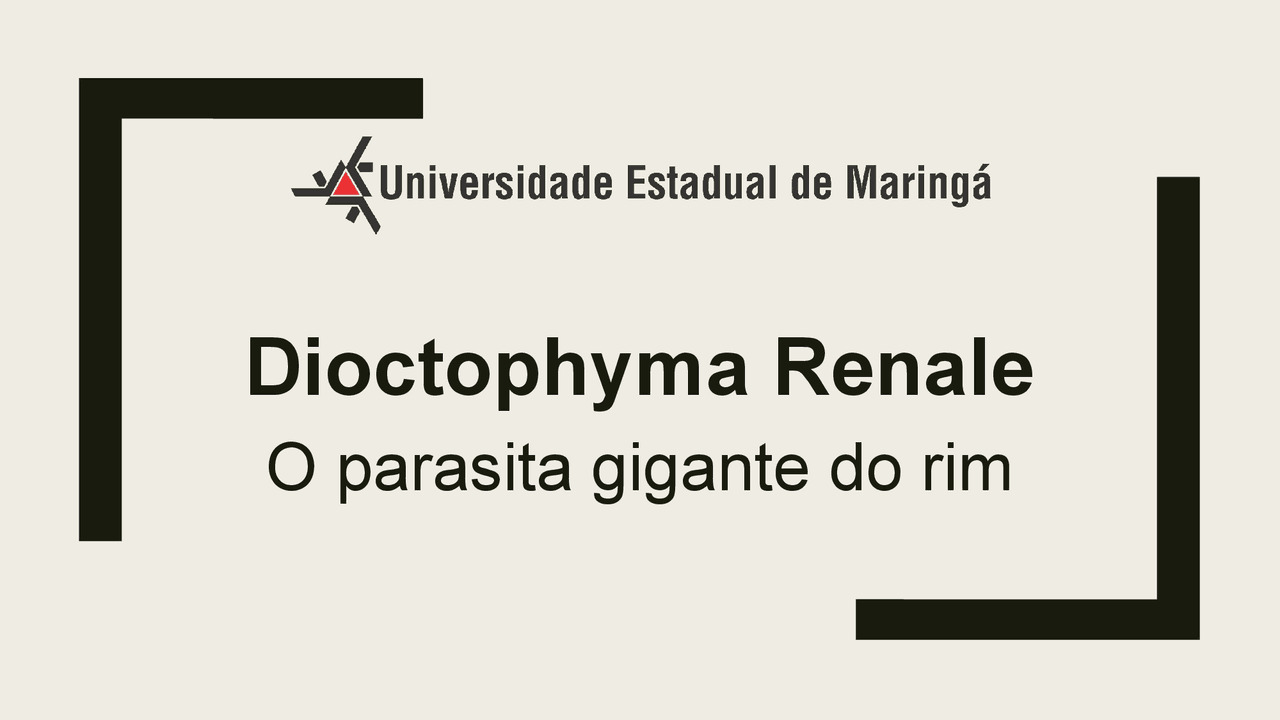 Dioctophyma Renale, O parasita gigante do rim. - Docsity
