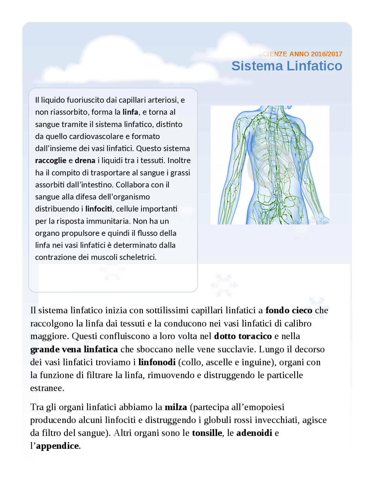 Sistema Immuitario Appunti E Riassunti Docsity
