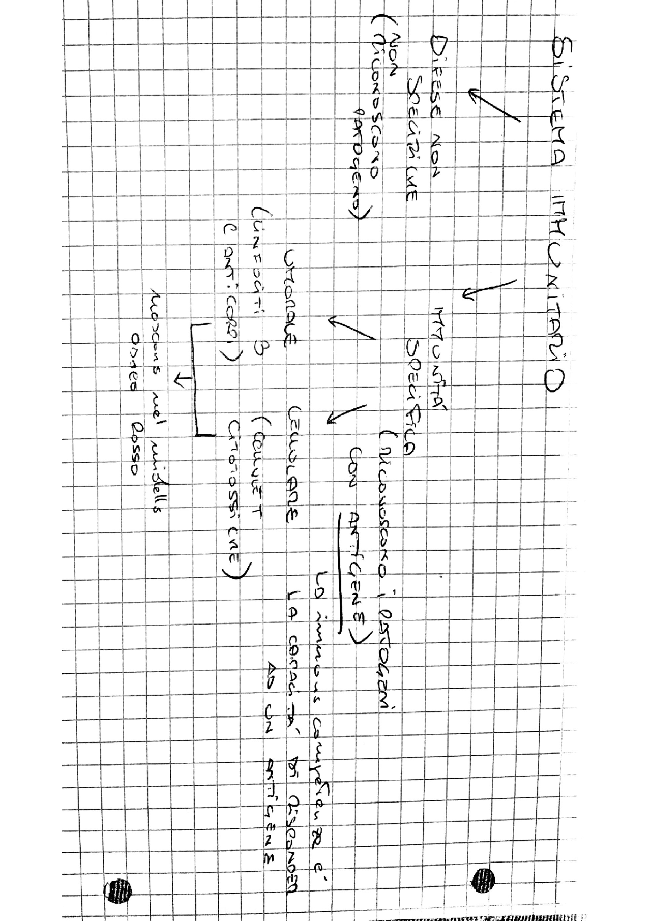 Mappe Concettuali Anatomia Docsity