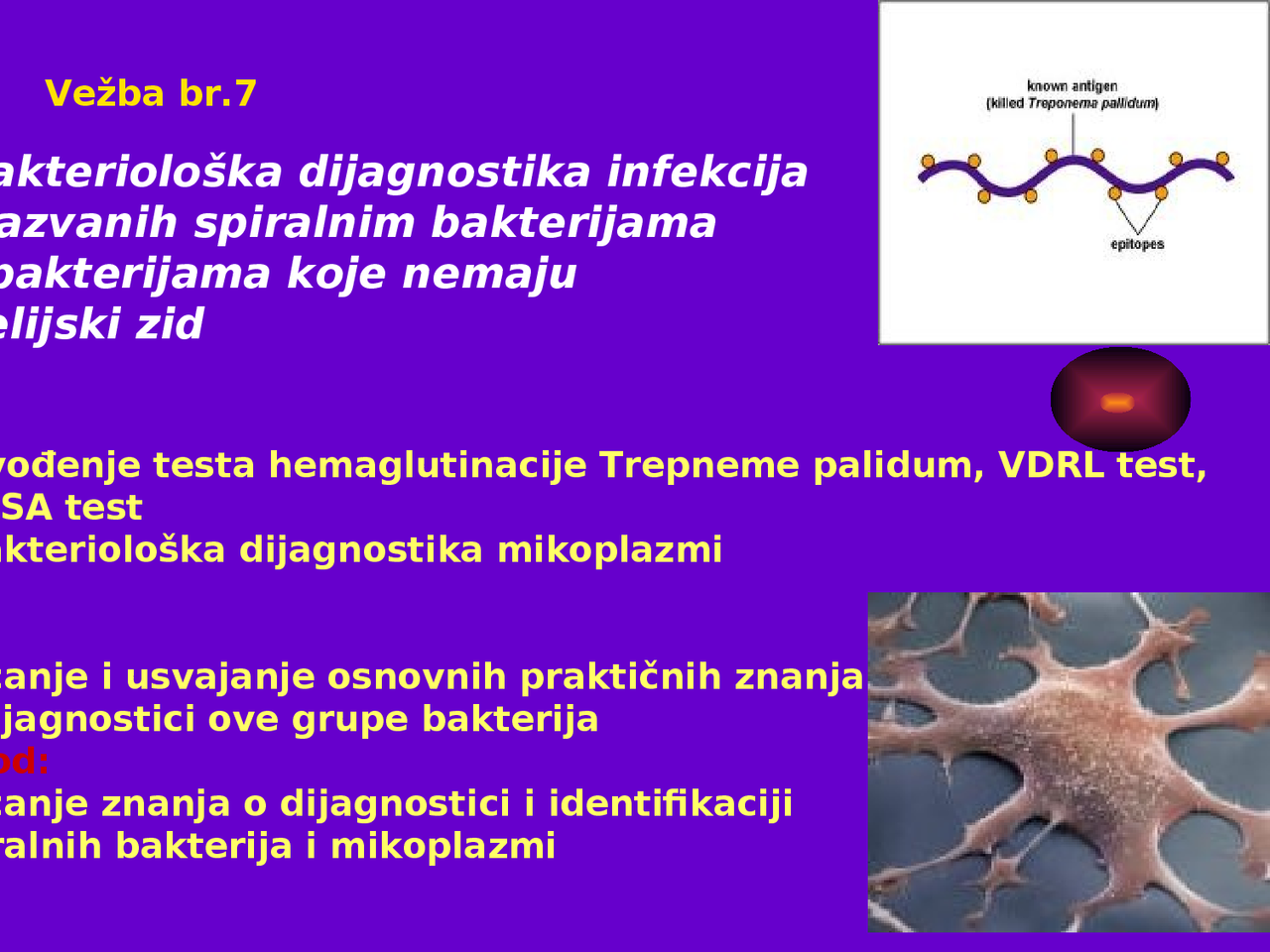 Mikrobiologija Bakteriološka Dijagnostika Infekcija Izazvanih Spiralnim