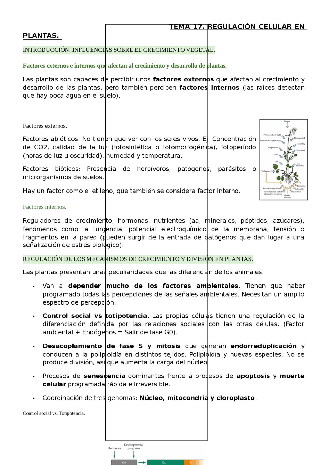 TEMA 17 A. Fisiología Vegetal Grupo 136 - Docsity