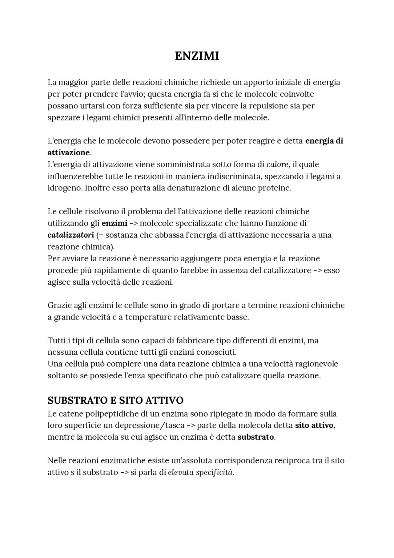 Riassunto Enzimi Docsity
