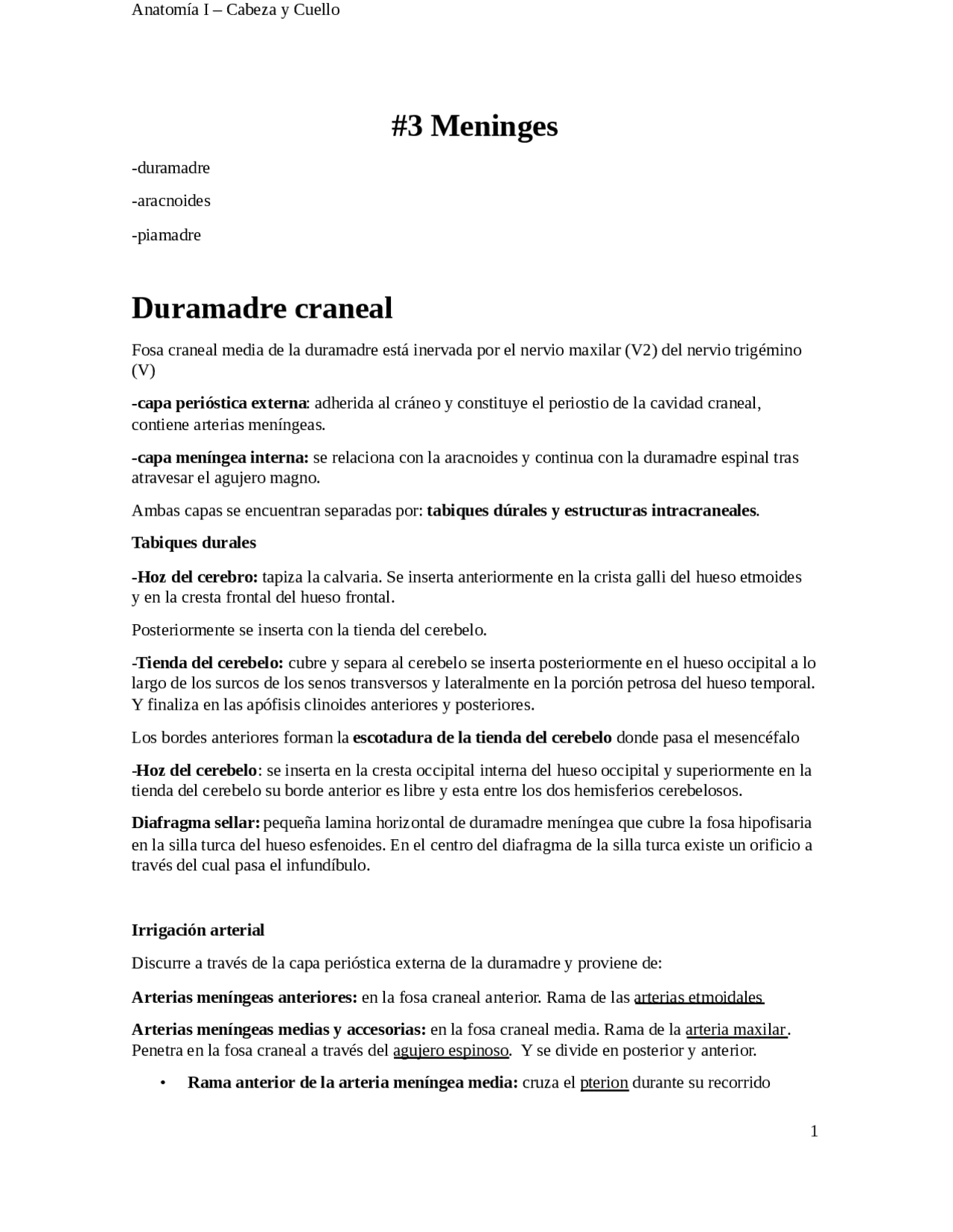 Anatomía Cabeza Y Cuello Docsity