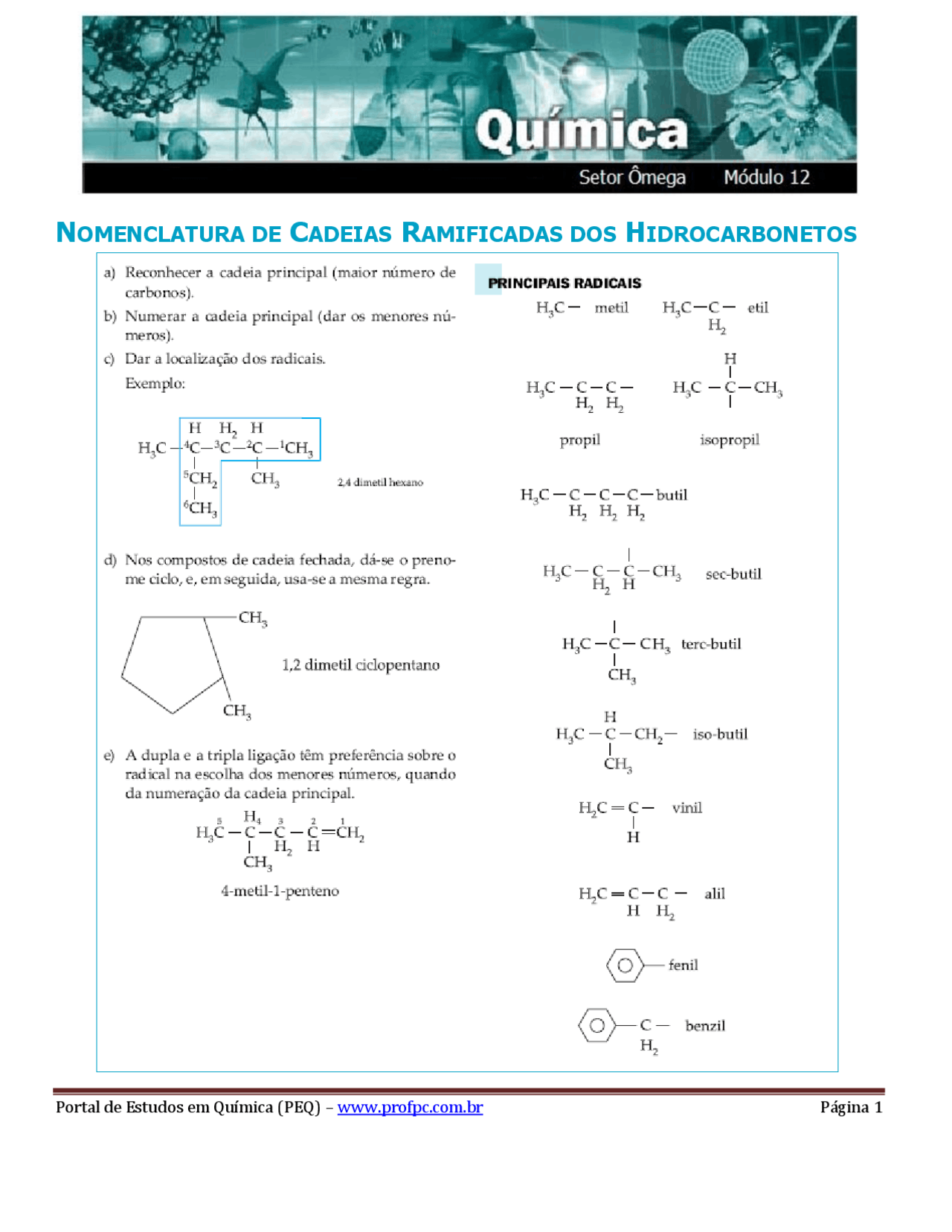 Nomenclatura De Cadeias Ramificadas Dos Hidrocarbonetos Docsity