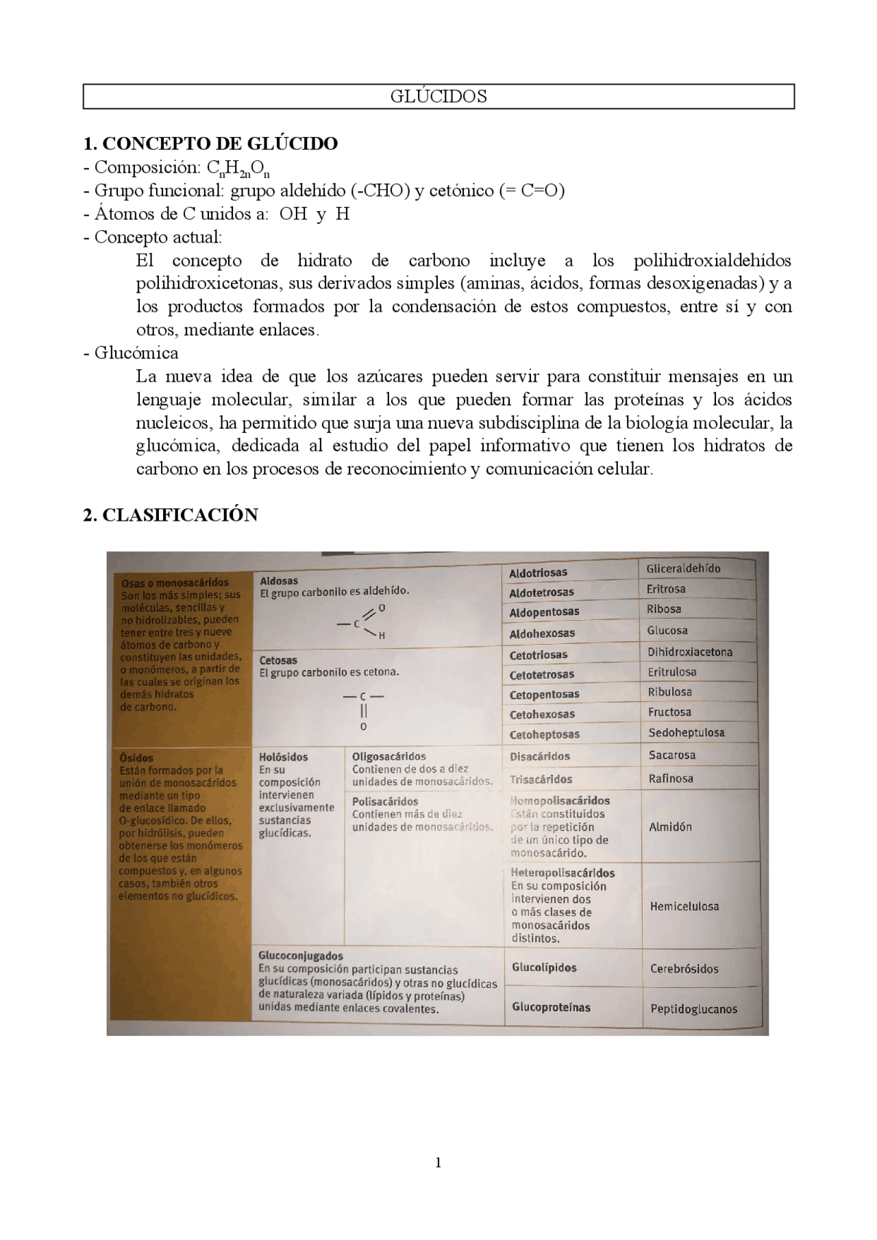 Tema De Glúcidos Biología Docsity