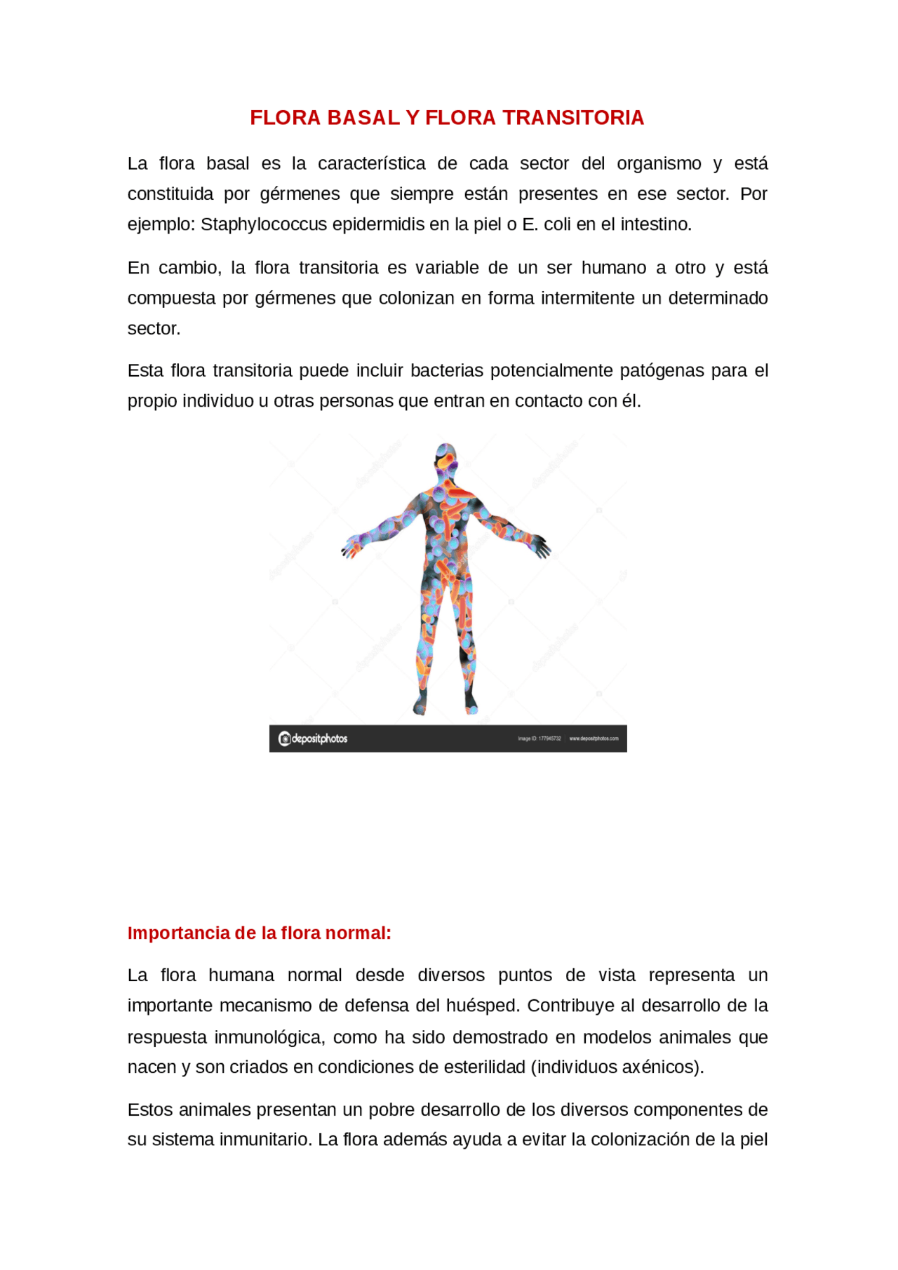 Flora basal y transitoria - Docsity