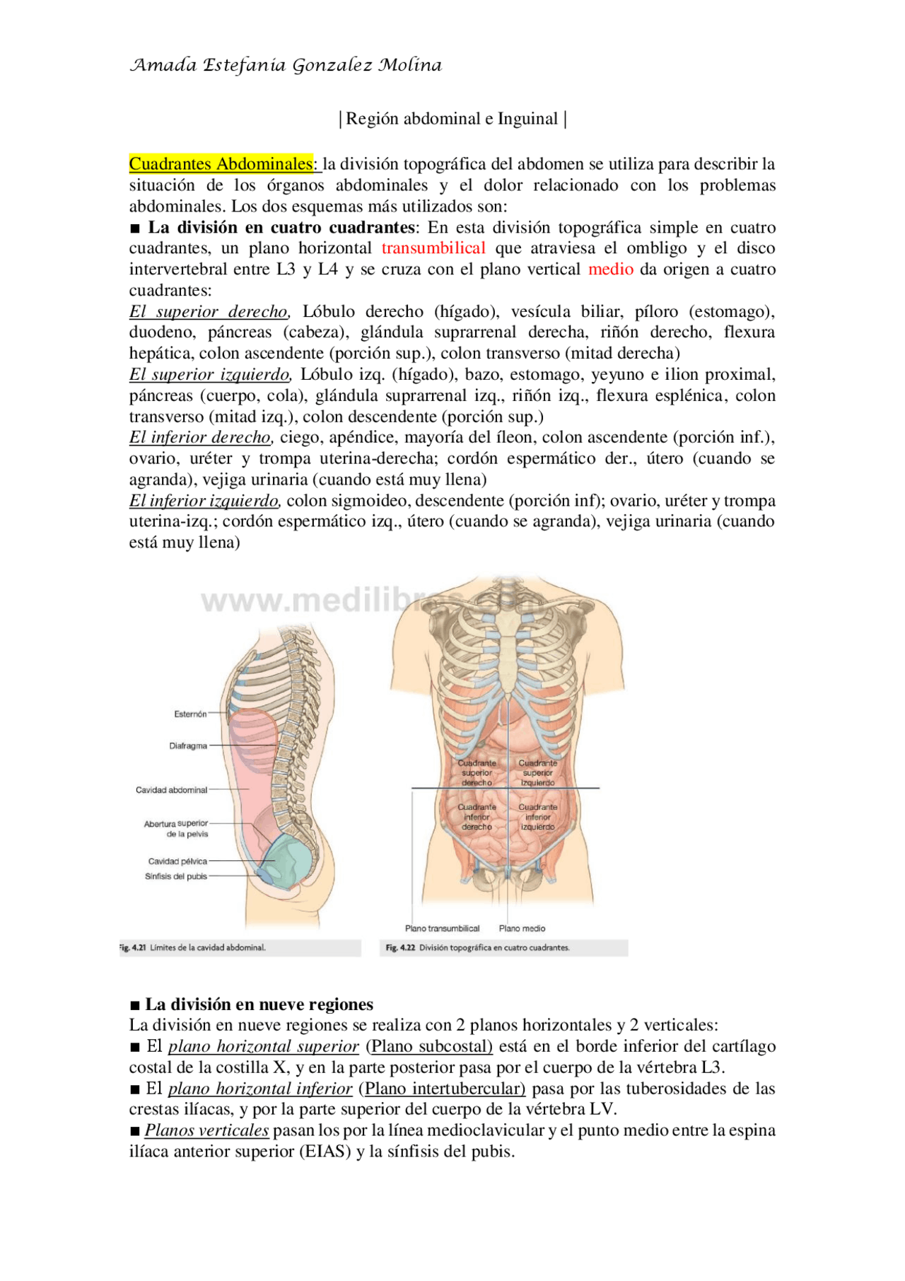 Region Abdominal E Inguinal Docsity