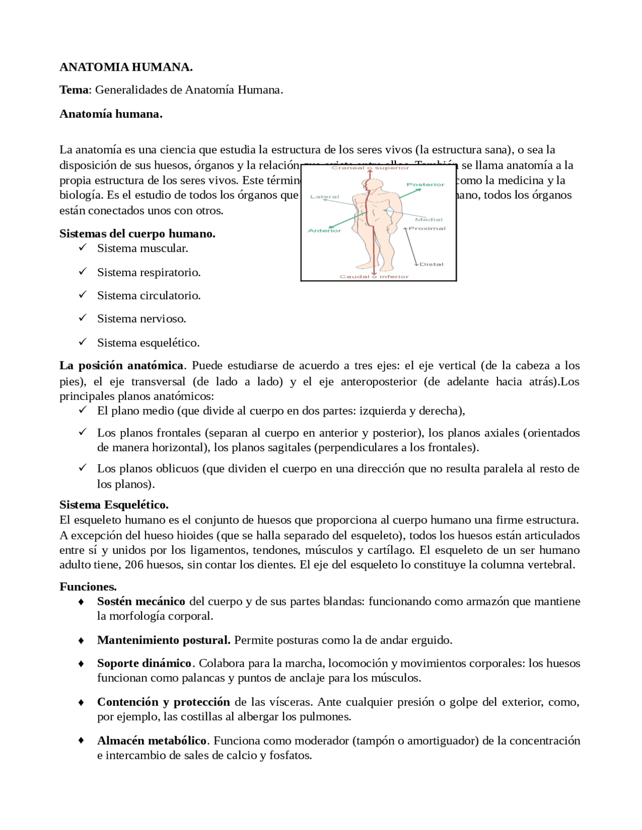 Generalidades De Anatomía Humana Docsity