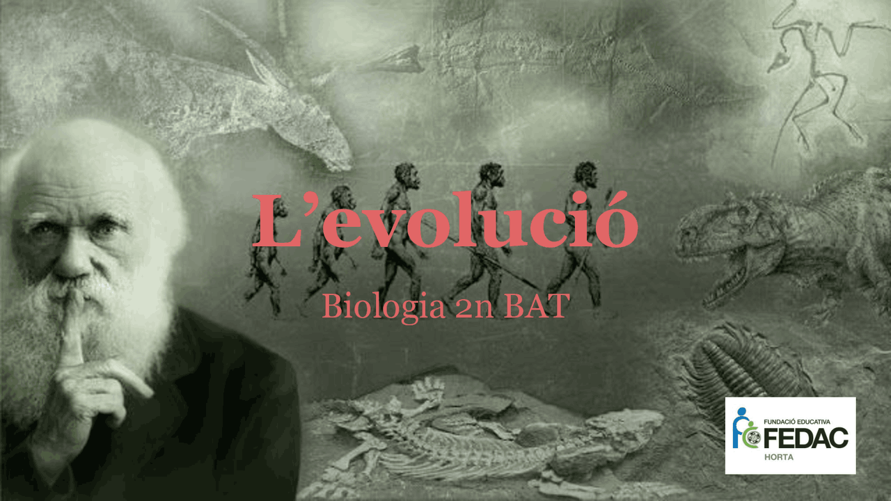 Biologia Evolución Apuntes | Apuntes de Biología | Docsity