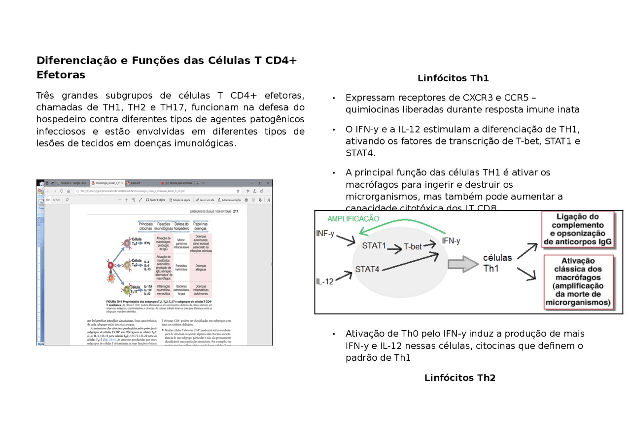RESUMO celulas T CD4+ - Docsity