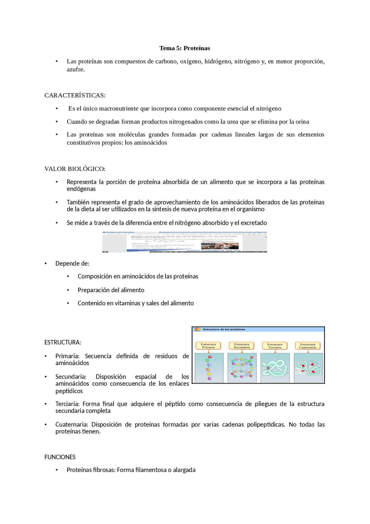 Tema 5 Proteínas Apuntes Docsity