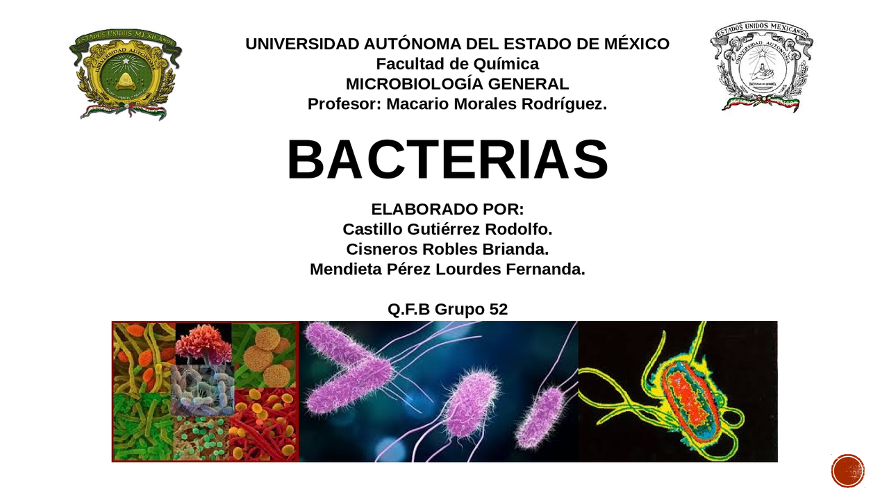 Bacterias: Conceptos clave - Docsity