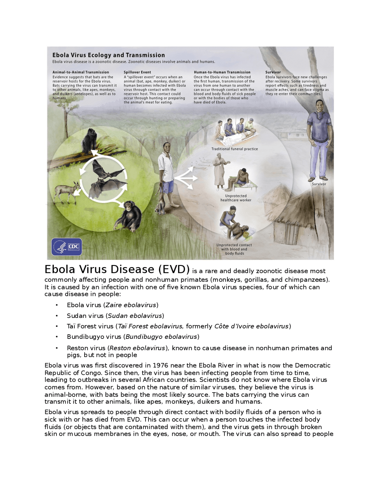 Ebola short note on causes symptoms - Docsity