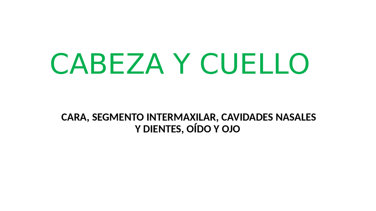 Diapositivas Sobre Cabeza Y Cuello Diapositivas De Desarrollo Humano