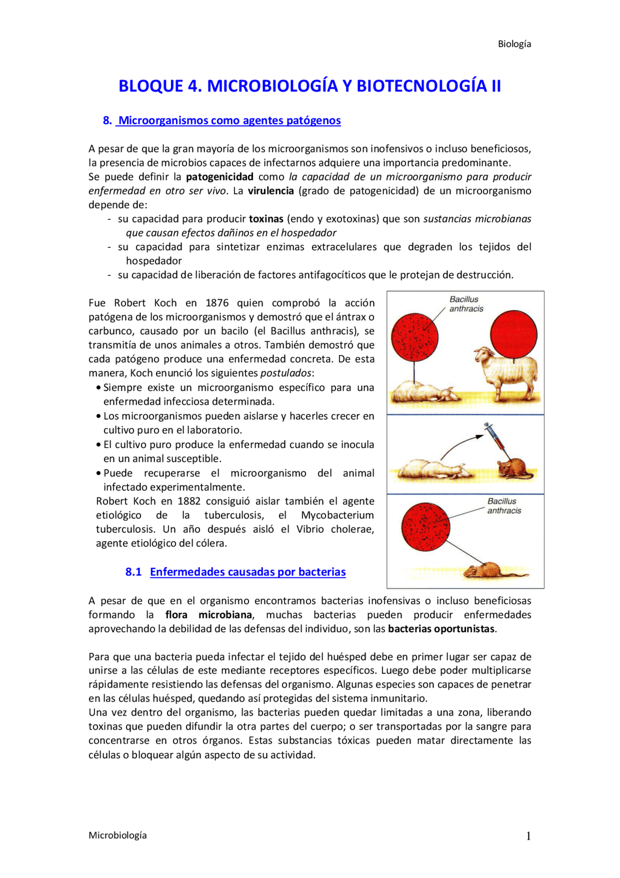 Apuntes De 2ºbachillerato De Microbiología 2 Apuntes De Biología