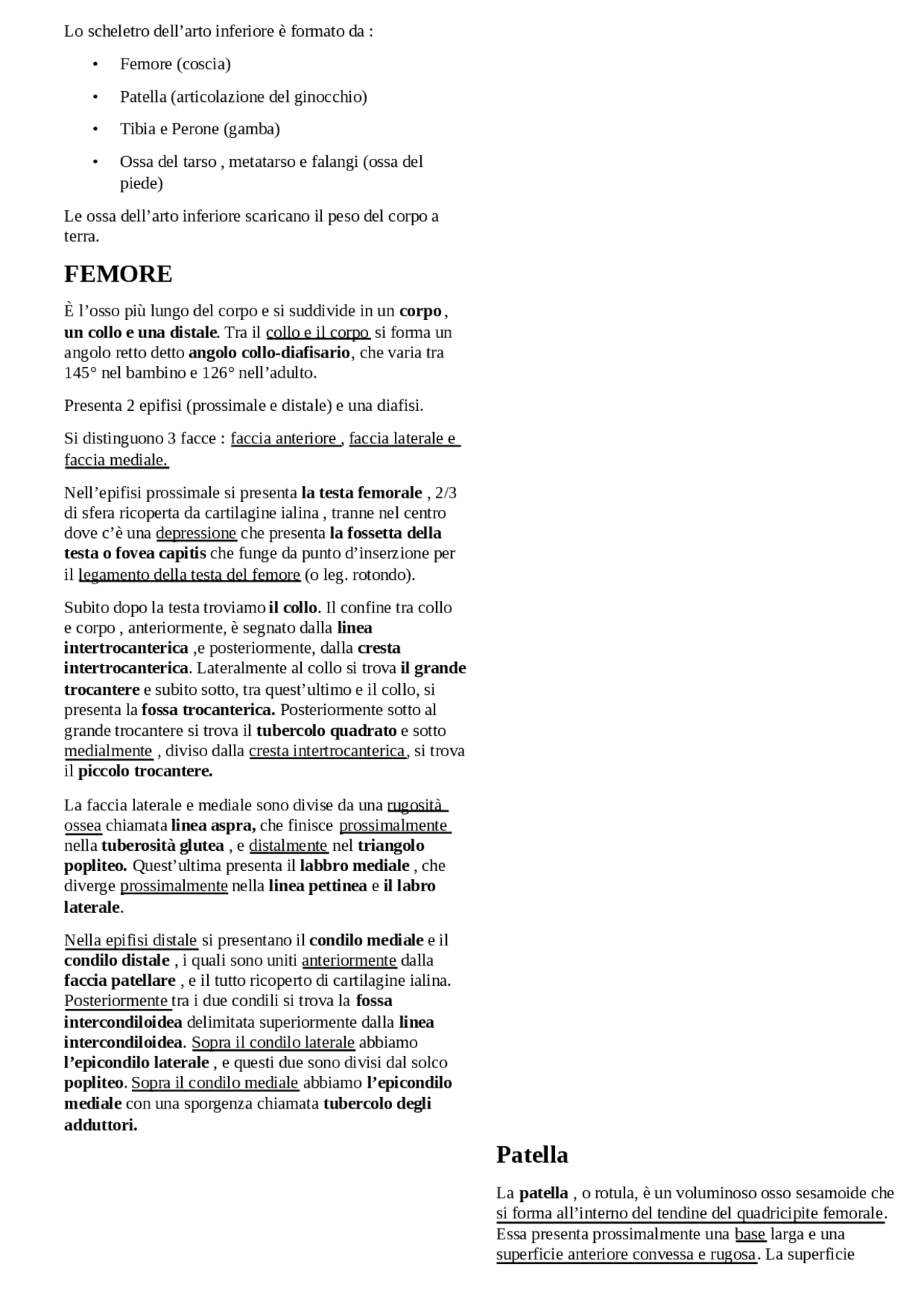Anatomia Apparato Locomotore Arto Inferiore Docsity