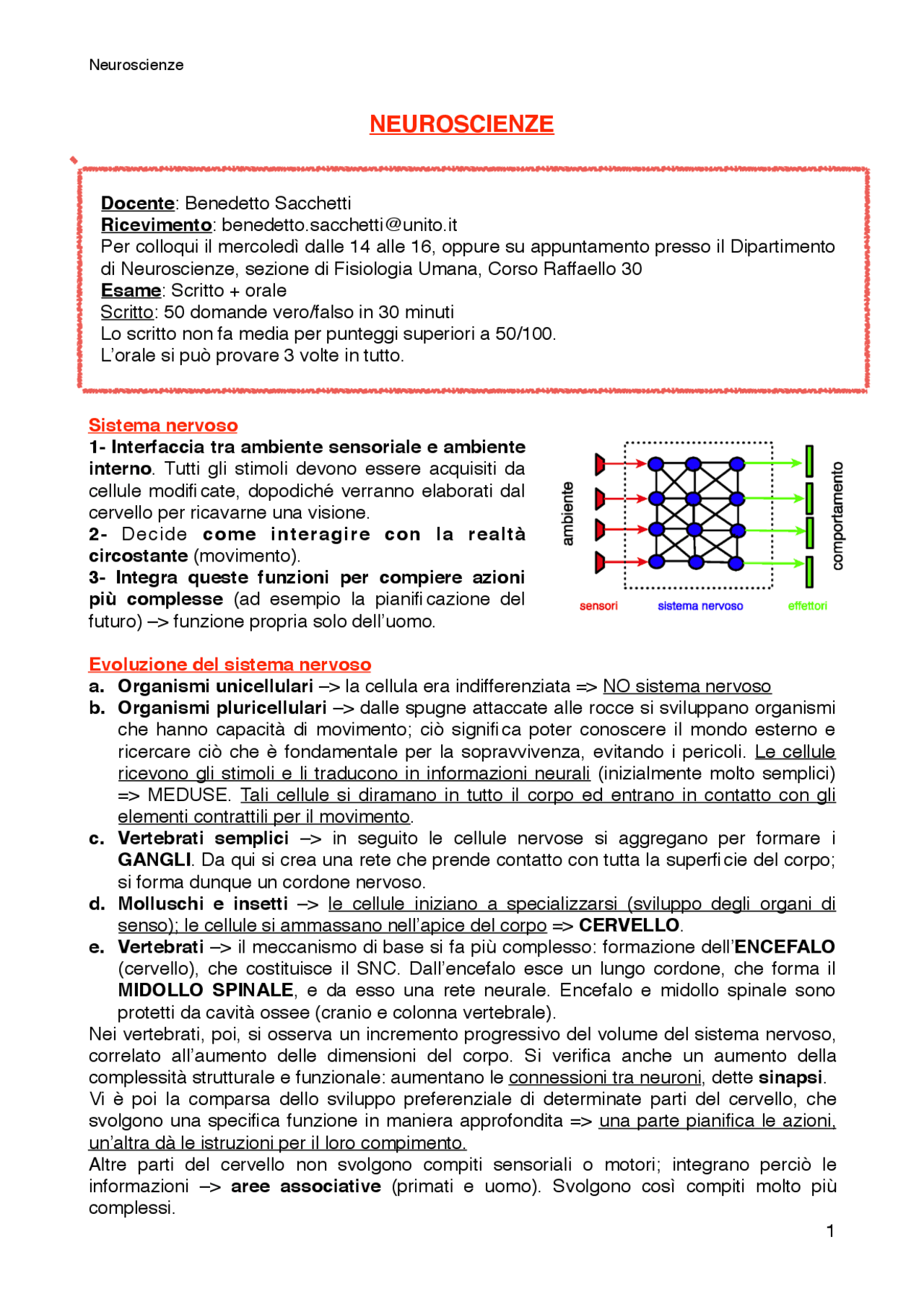 Appunti Di Neuroscienze Prof Sacchetti Unito Docsity