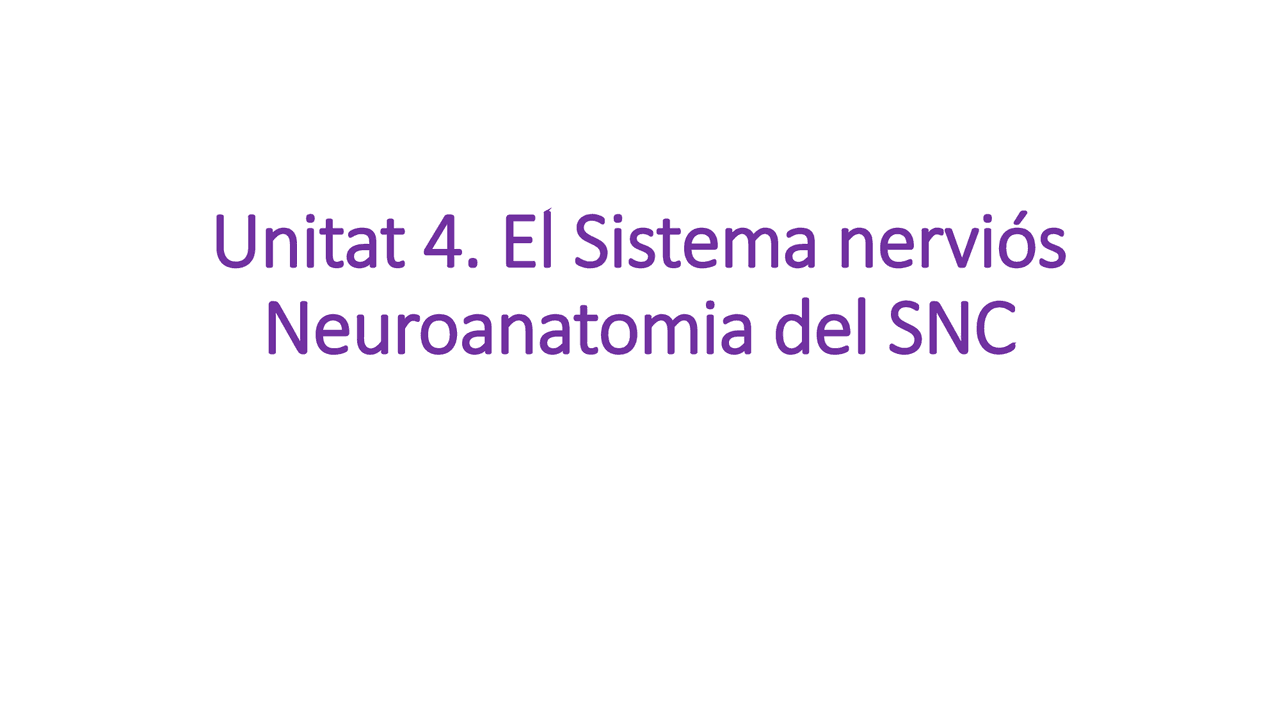 Neuroanatomia Del Sistema Nerviós Docsity