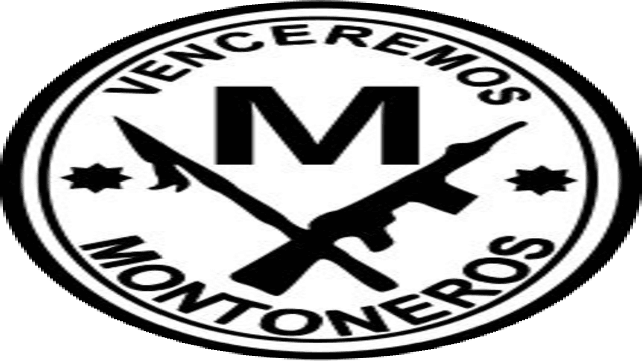 Los Montoneros e il periodo peronista - Docsity