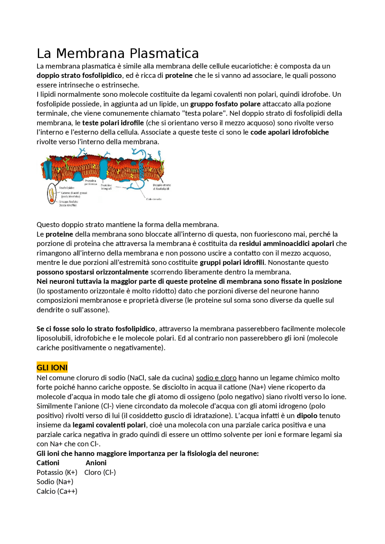 La Membrana Plasmatica Docsity