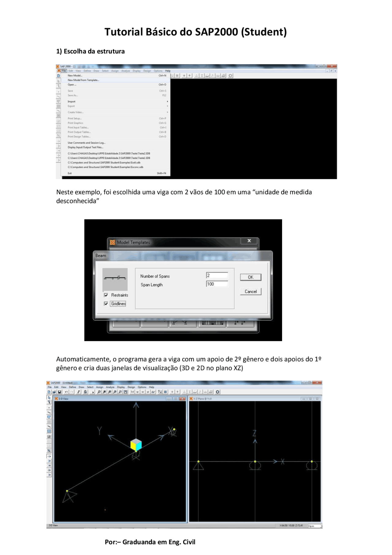 Tutorial Básico Sap 2000 Docsity