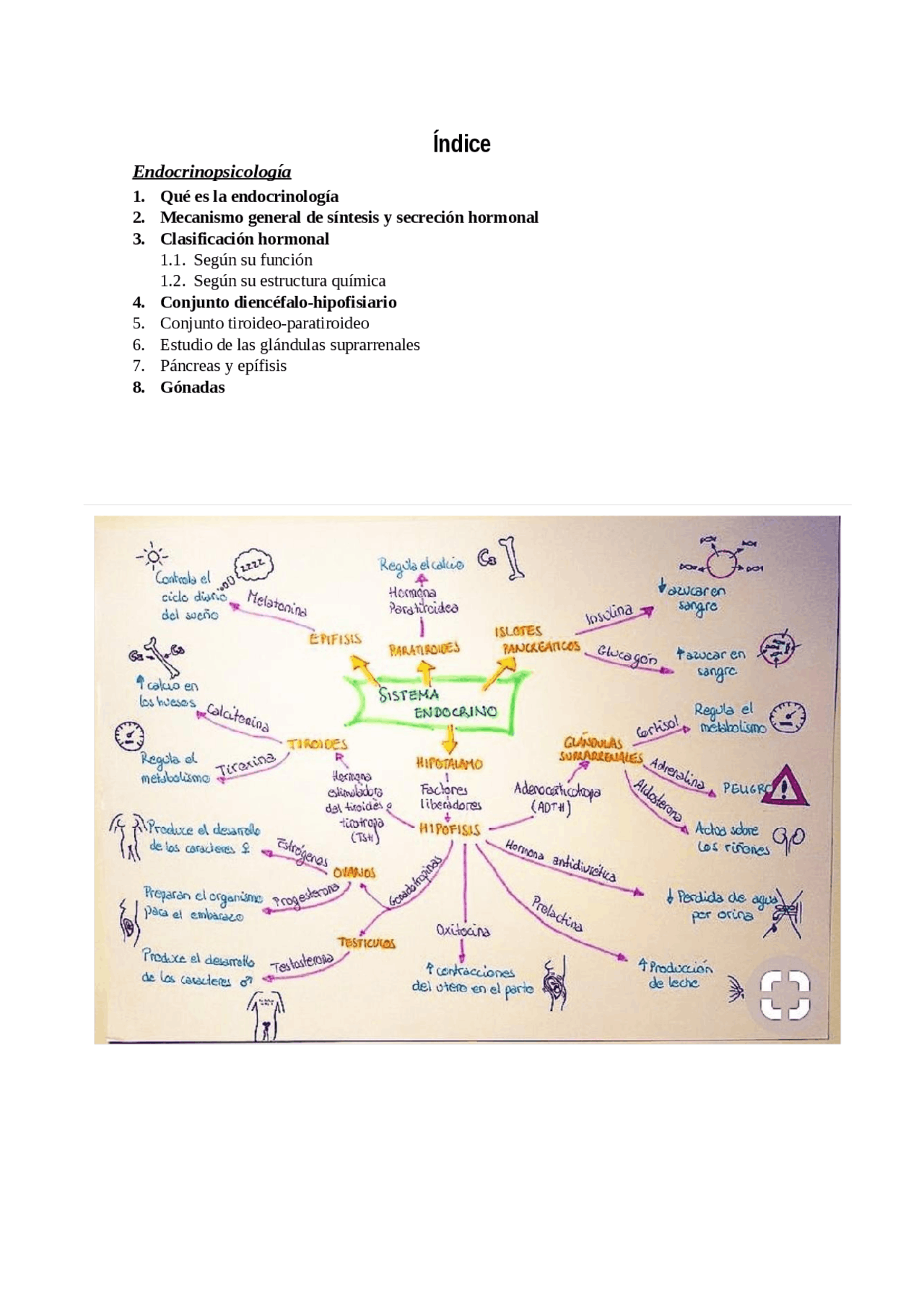 Fundamentos Biologicos De La Conducta Docsity