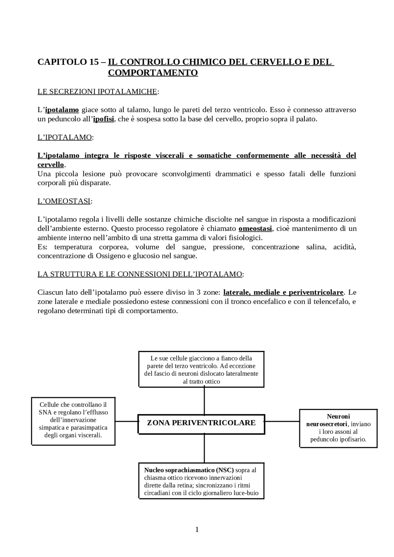 Riassunti Neuroscienze Ii Sintesi Del Corso Di Neuroscienze Docsity