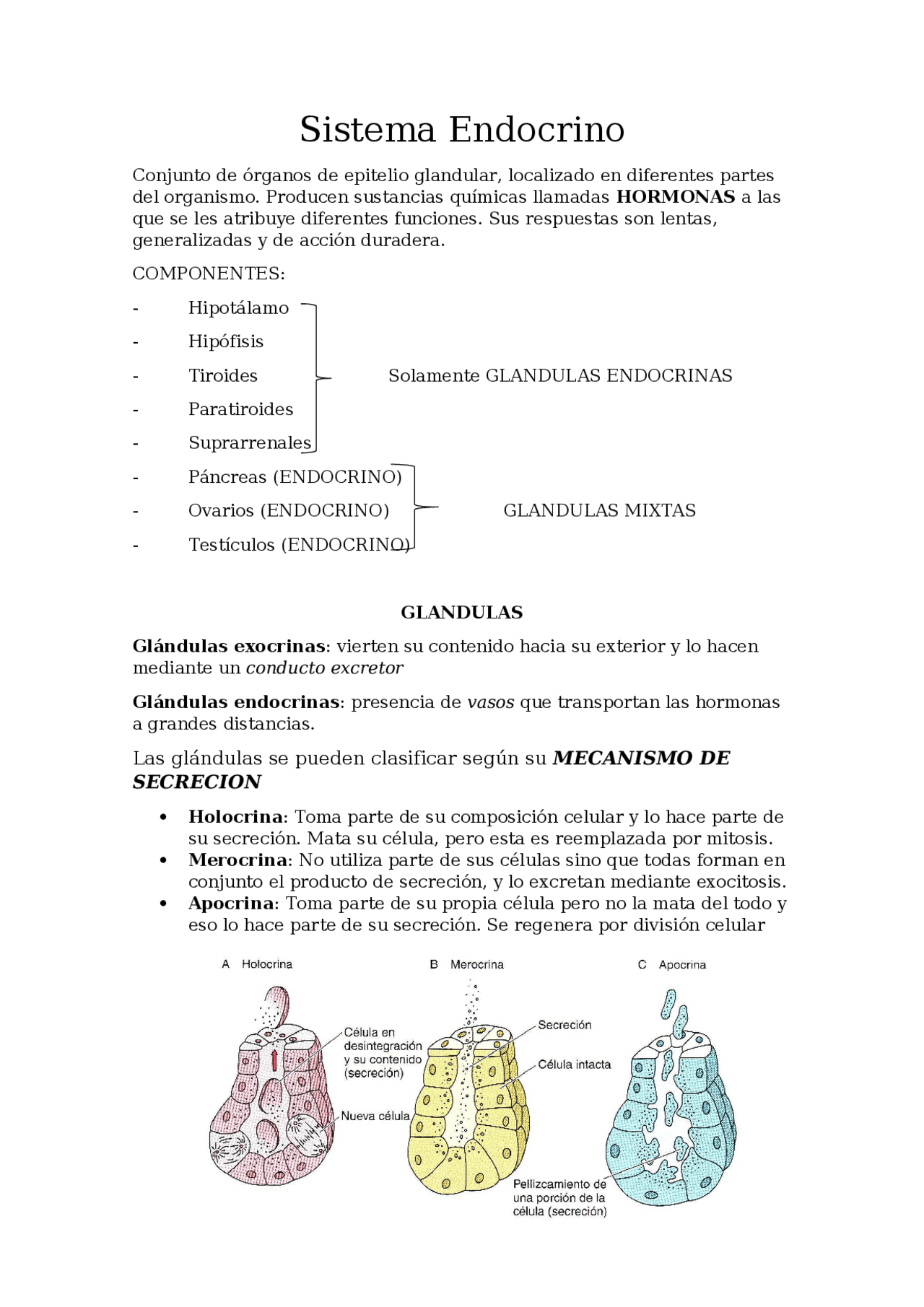 Up 6 Unr Fcm Sistema Endocrino Resúmenes De Fisiología Docsity
