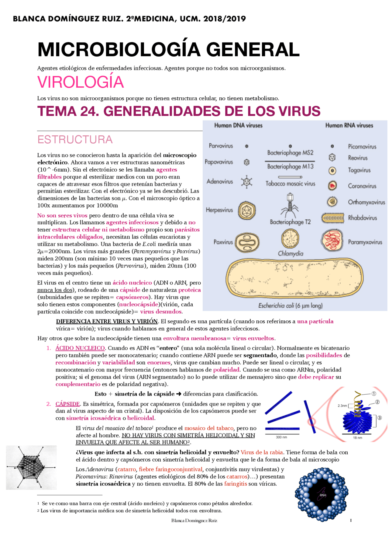 VirologÍa Micro Ucm Docsity
