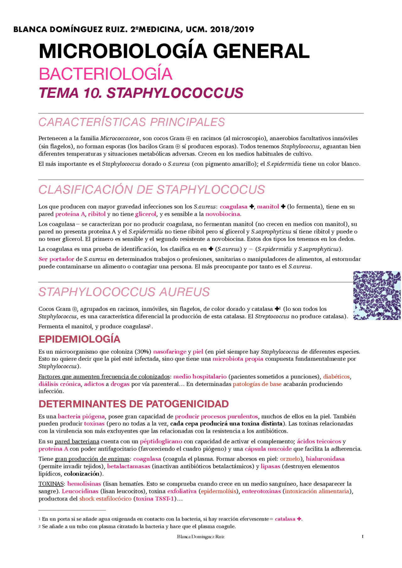 BacteriologÍa Micro Ucm Docsity
