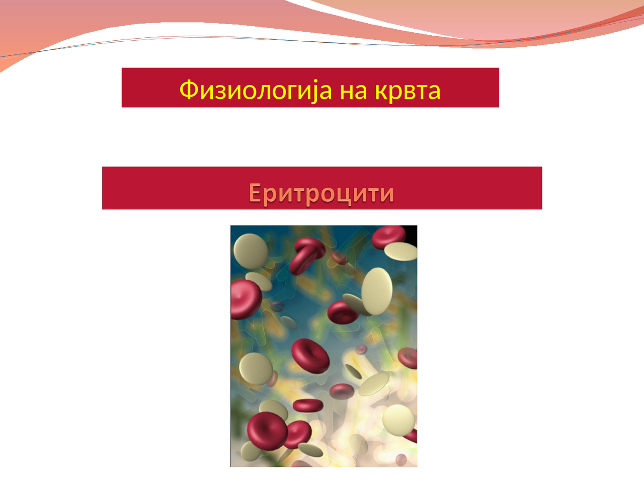 Eritrociti Hematologija Slajdovi Predlog Biologija Docsity