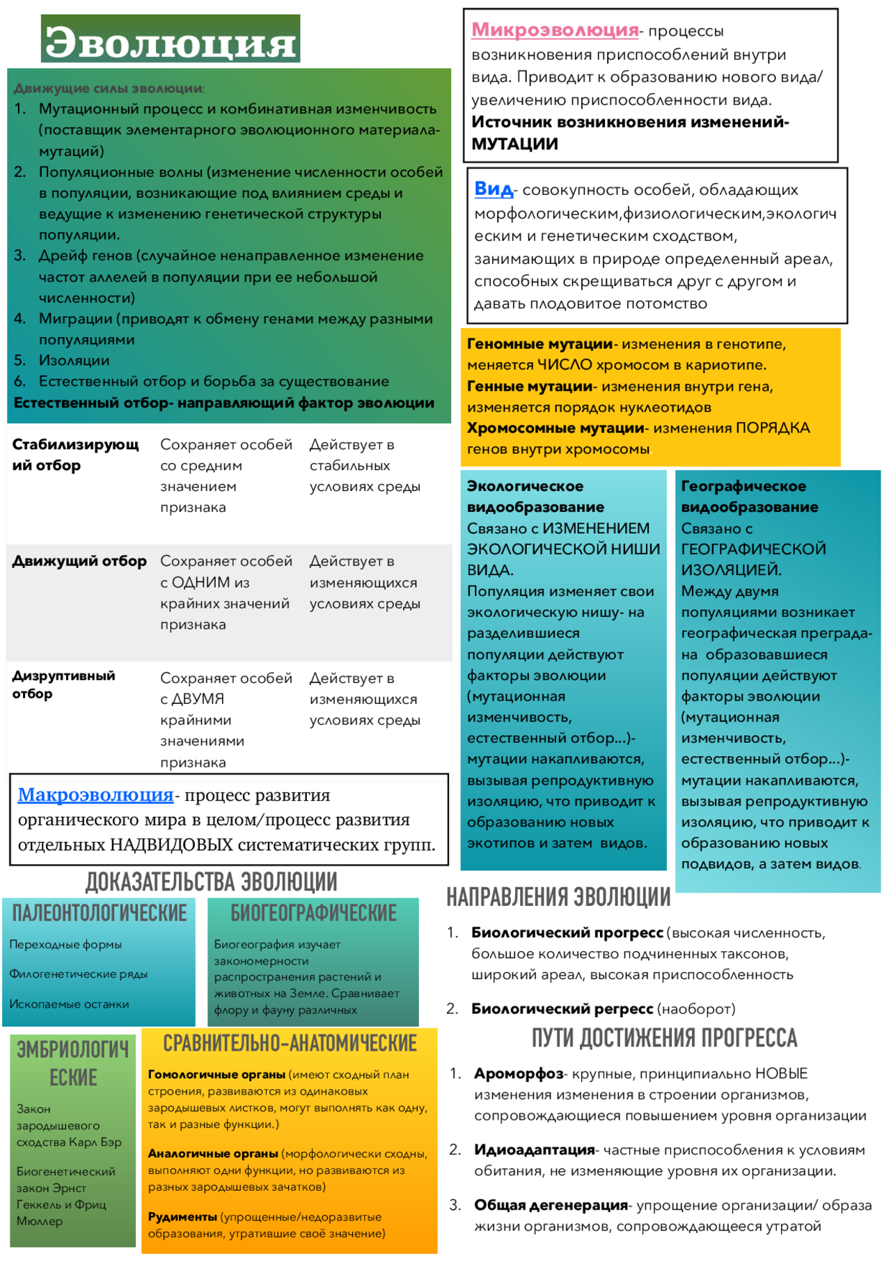 эволюция по биологии Docsity