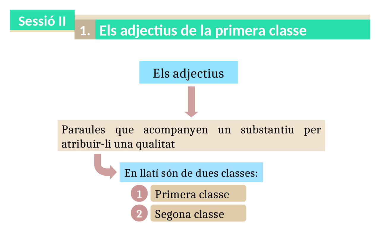 Adjectius De La Primera Classe Docsity