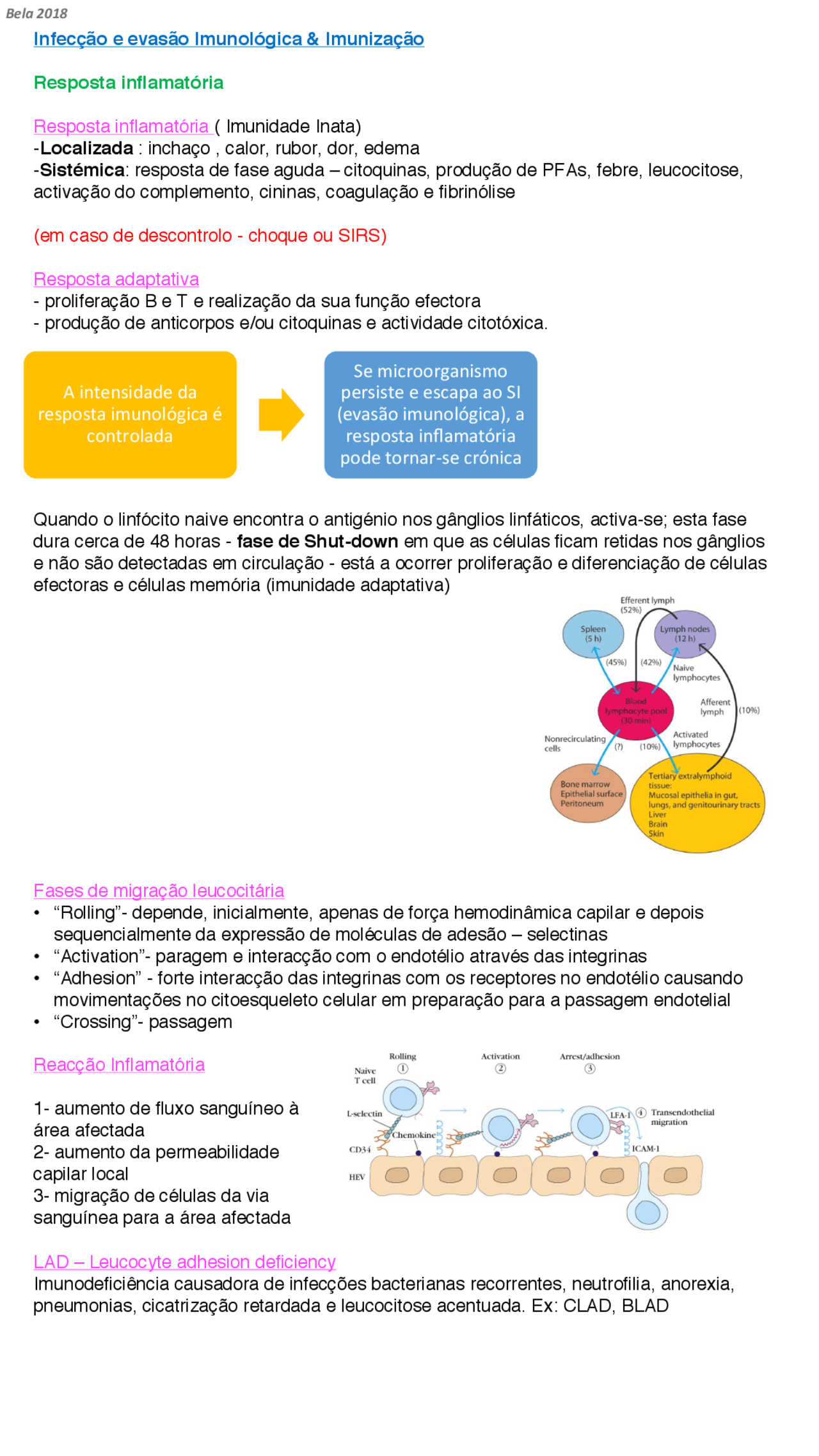 Imunologia Resumos Docsity