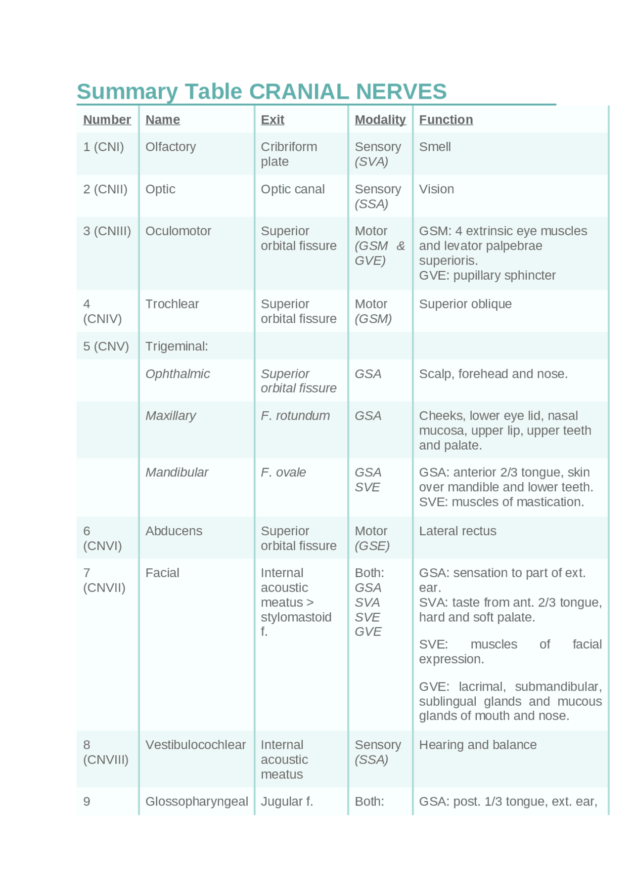 Central Nervous System Docsity