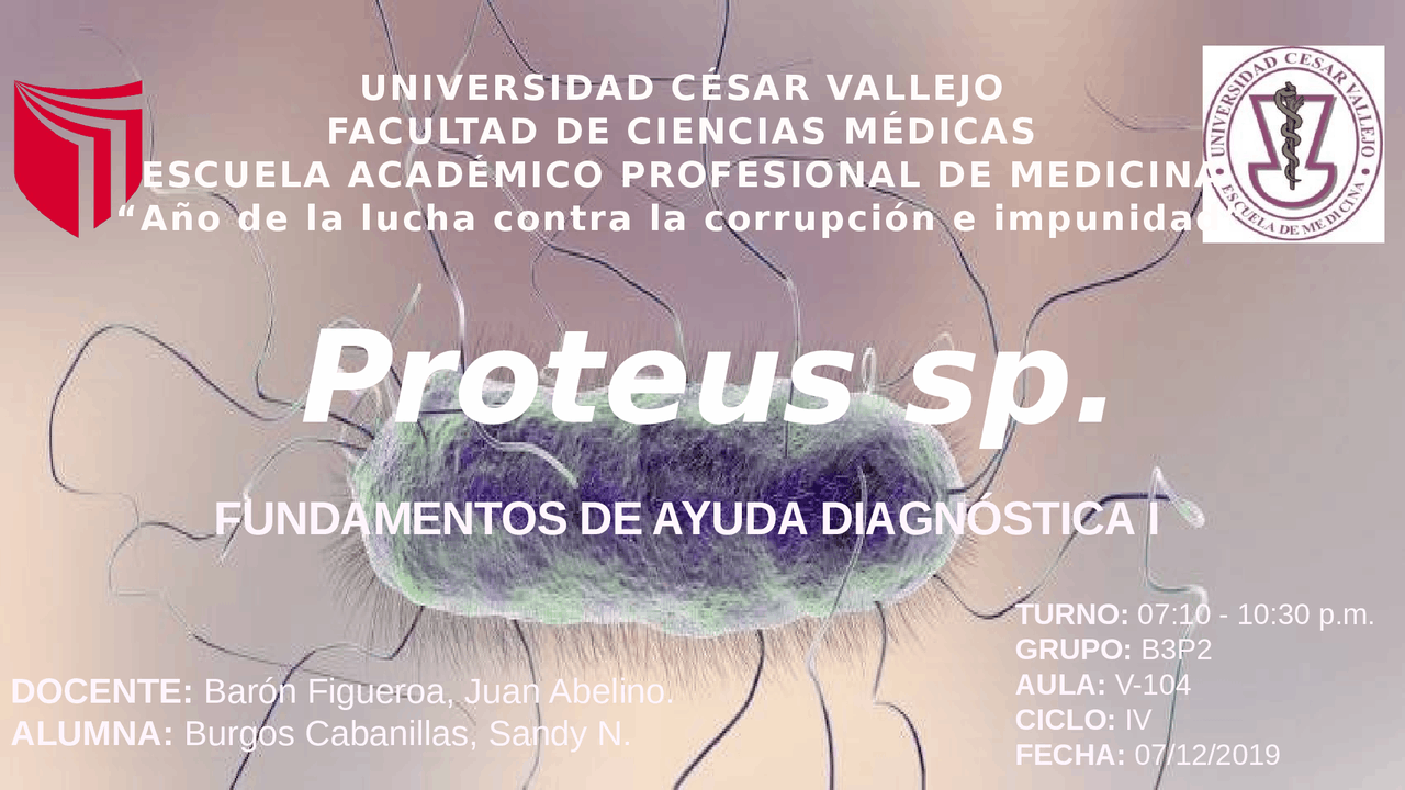 PROTEUS SP - DIAPOSITIVAS | Diapositivas de Microbiología | Docsity